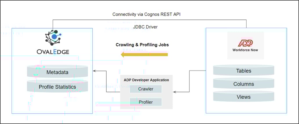 ADP Connector