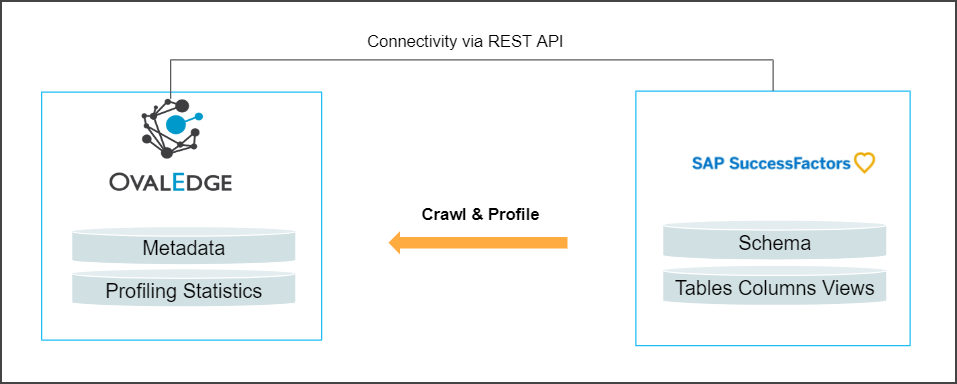 SAP SuccessFactors Connector