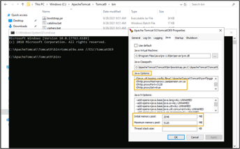 Upgrading Tomcat from 9.0.x to 9.0.98